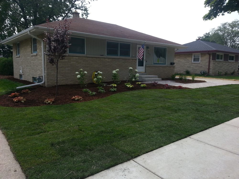 Lawn Repair & Lawn Installation | Best Choice Landscaping